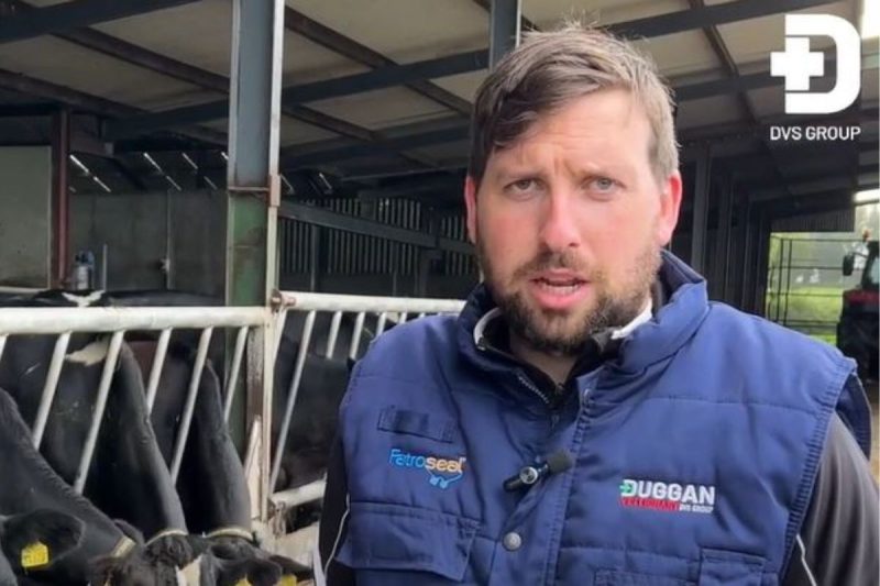 Sean Kelly, Tipperary Farmer, tells us about Fatroseal - Duggan ...