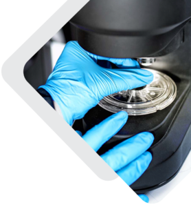 Duggan Vet Group - Duggan Veterinary Supplies