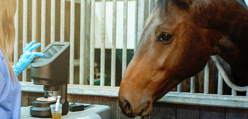 Ovacyte - Duggan Veterinary Supplies