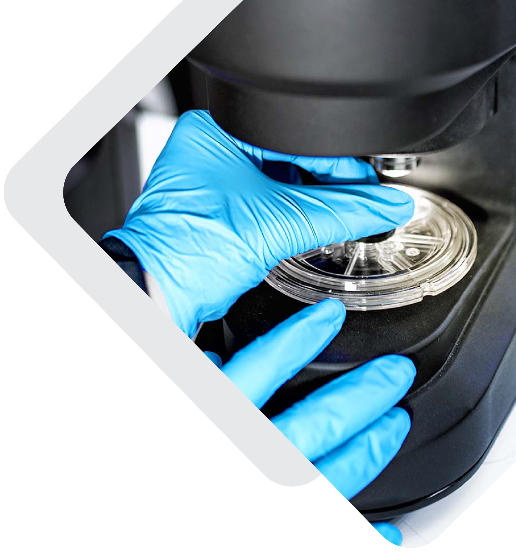 Duggan Vet Group - Duggan Veterinary Supplies