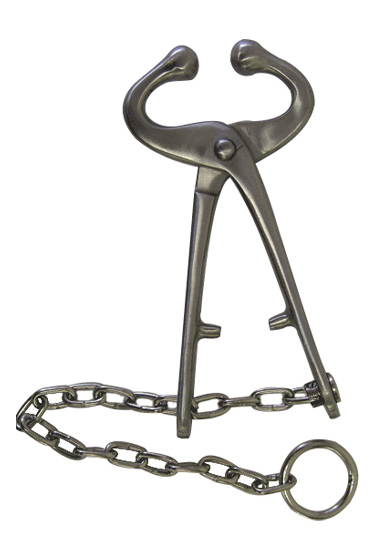Bull Holder 7" With Chain - Duggan Veterinary Supplies